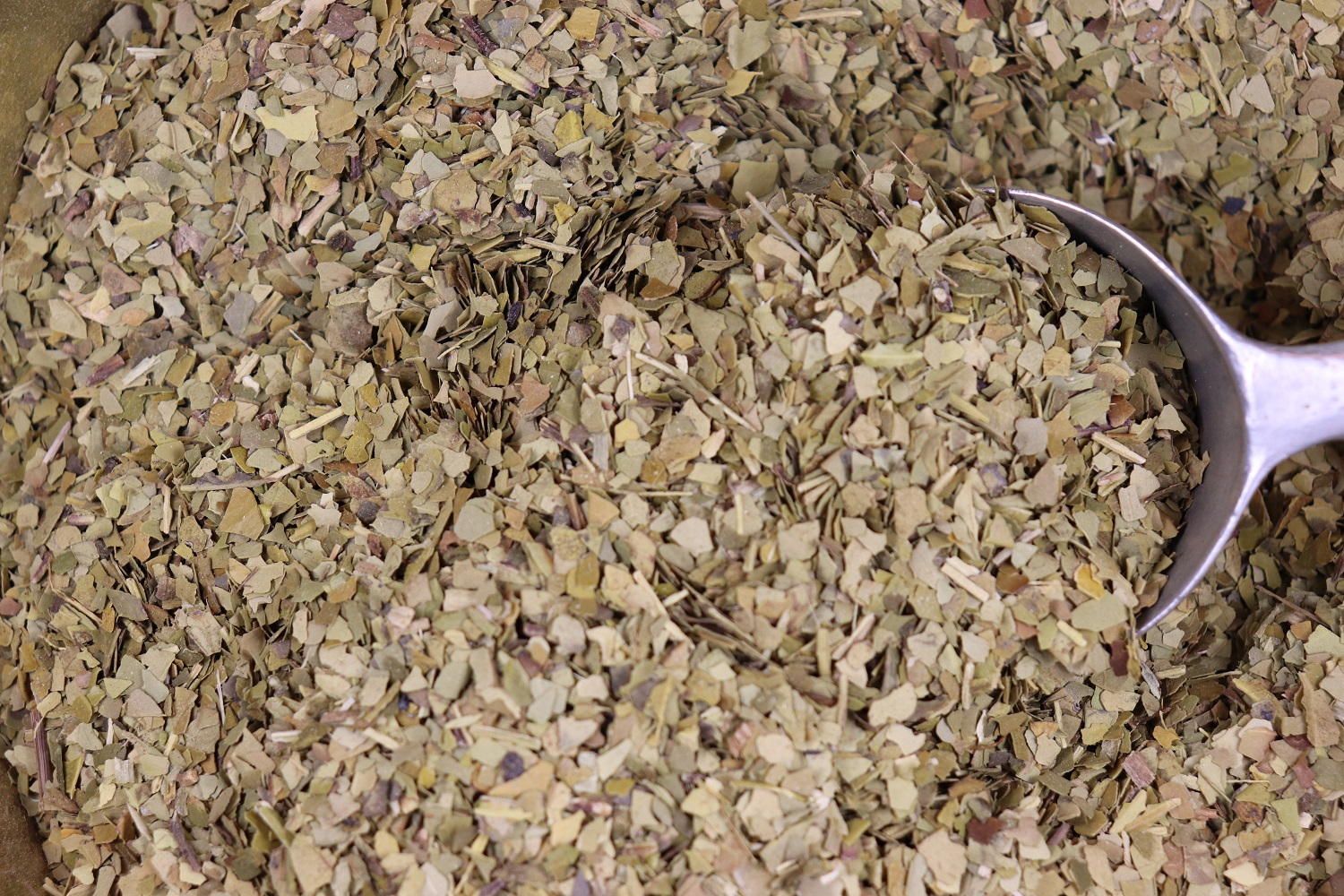 Rüdiger Foldt · Tee · Gewürze · Kräuter · Naturspeisewaren - MATE Tee